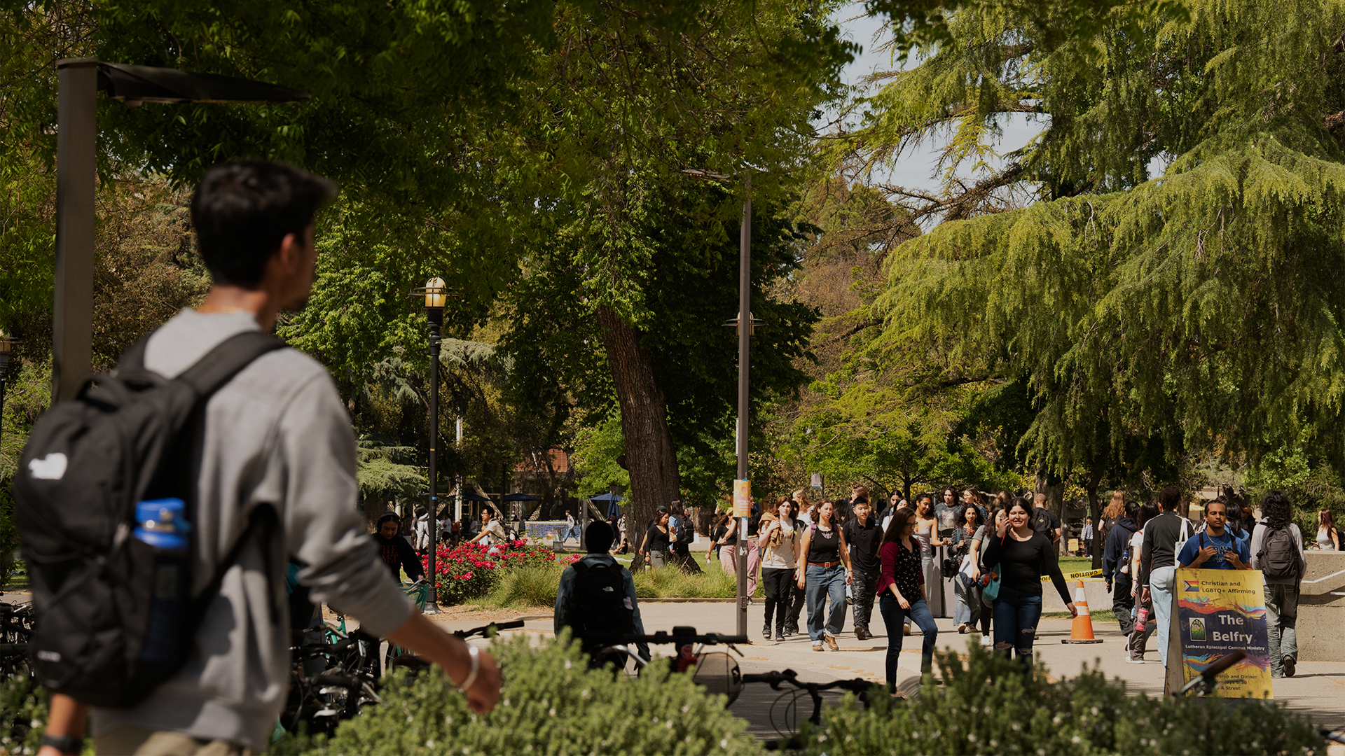 Annual Report 2024: Insights and Achievements | UC Davis