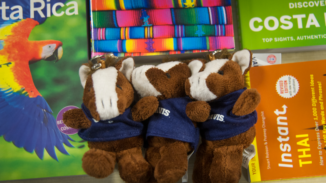 Healthy UC Davis: 9 Programs to Start the Year | UC Davis