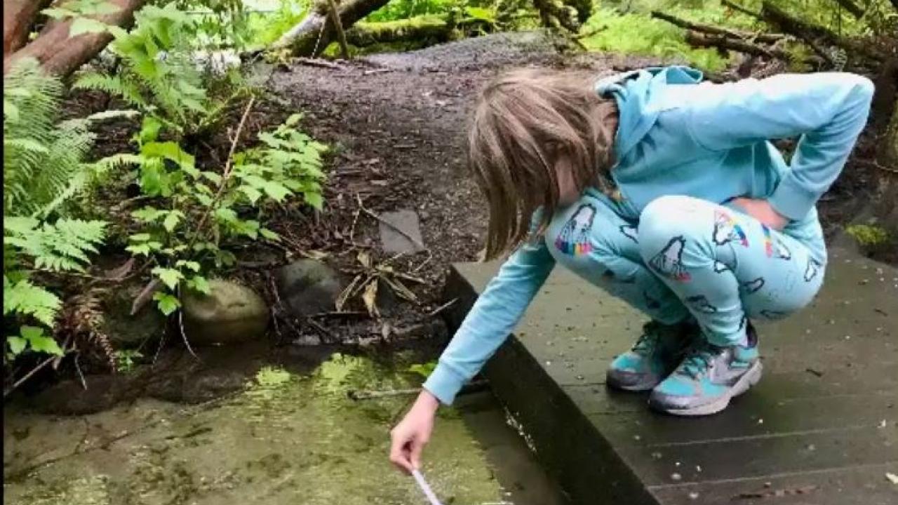 Bringing the Salish Sea to Tacoma’s Fifth Graders | UC Davis