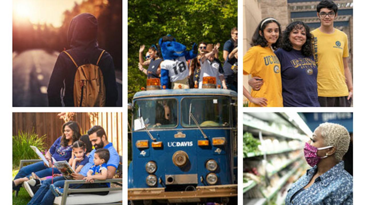 10 Most Popular Stories of 2020 | UC Davis