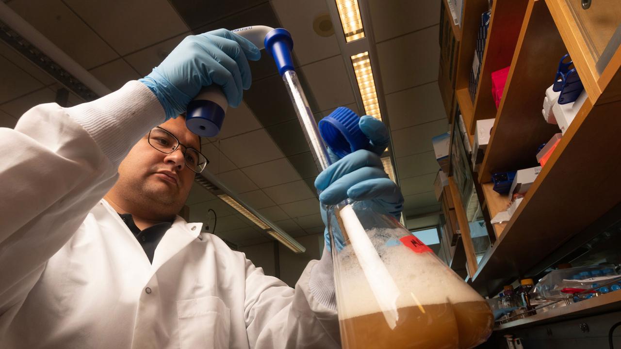 Lab and Environmental Safety | UC Davis