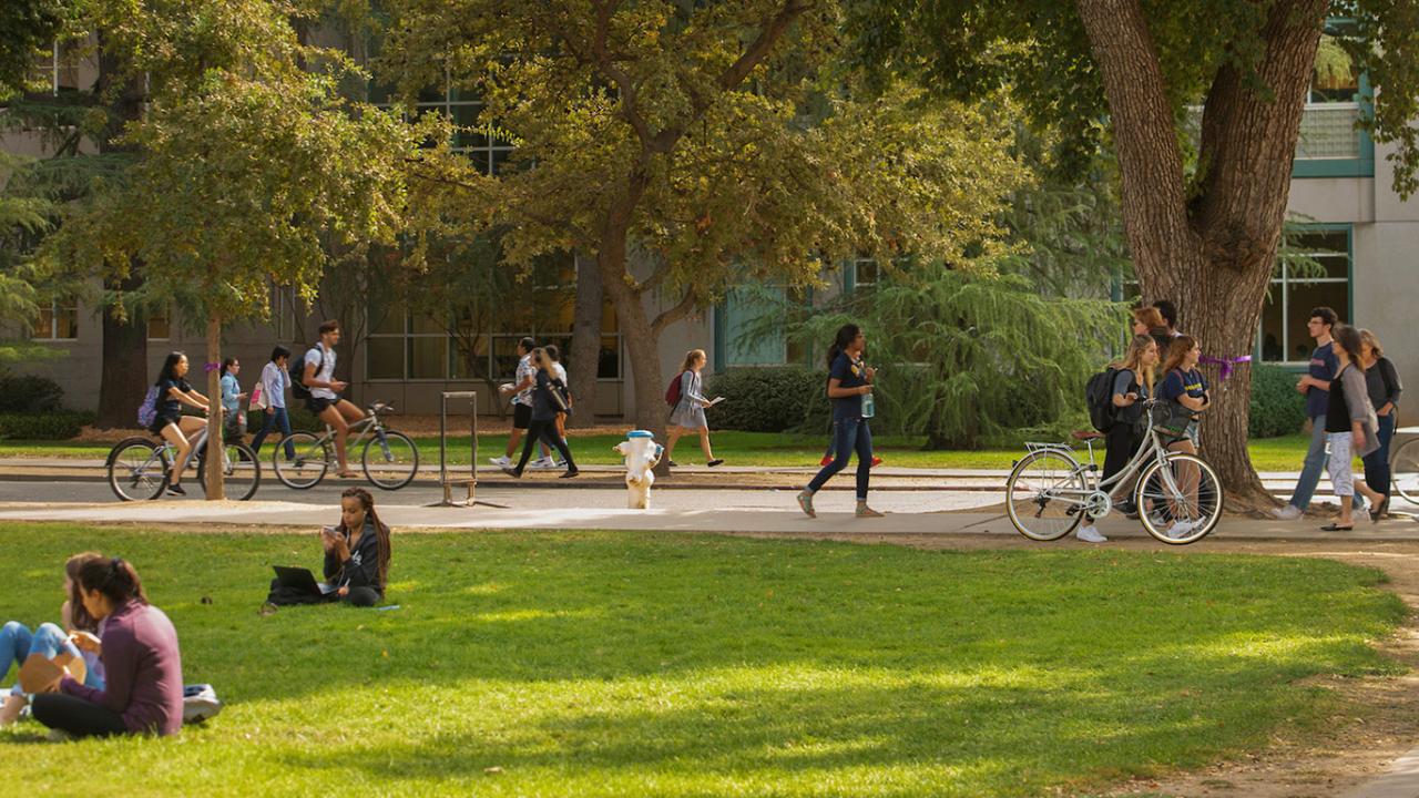 Transfer Special Situations | UC Davis